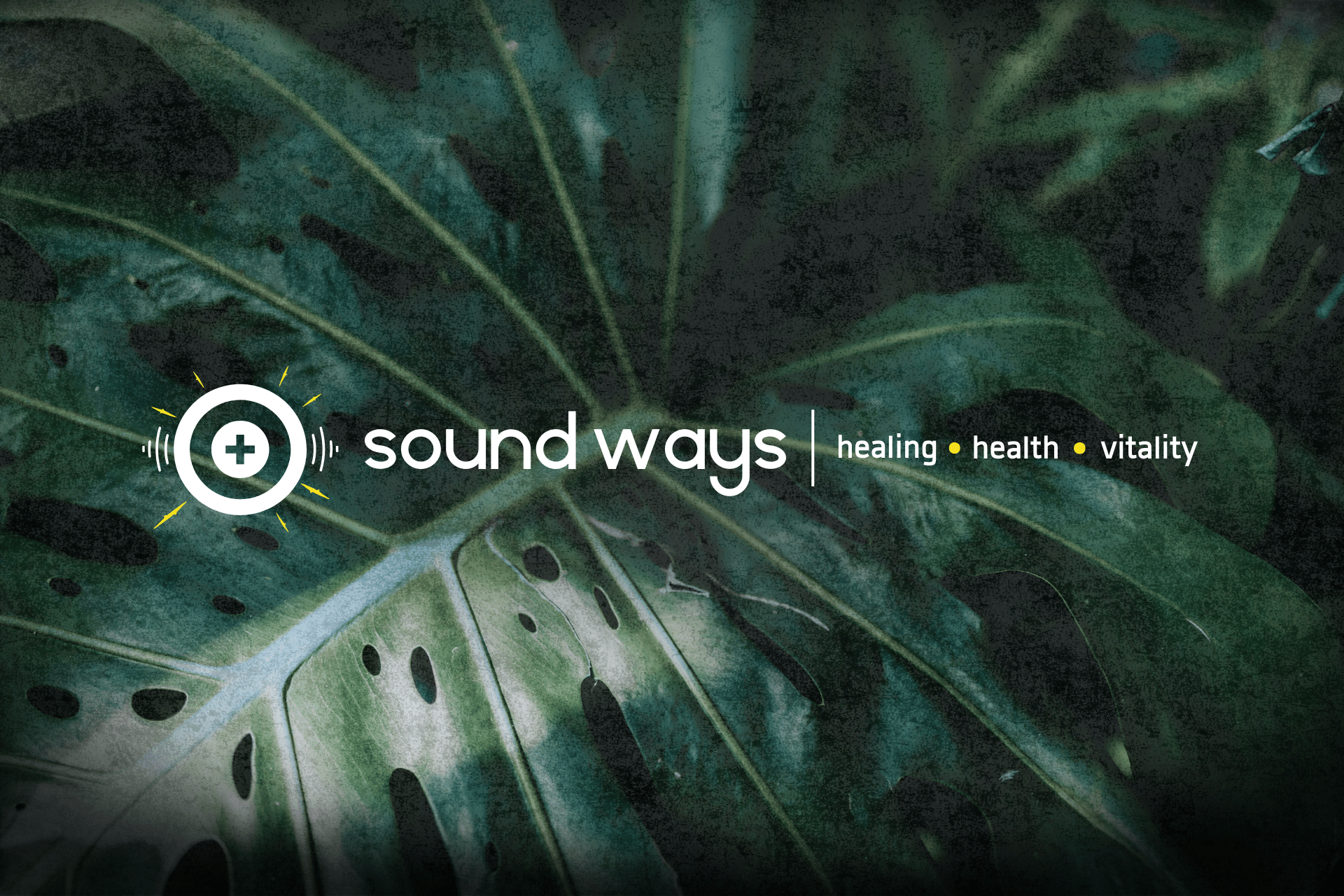 Sound Ways - Mobile Shockwave & Tecar Therapy Portland